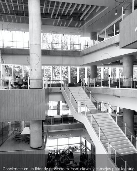 Conviértete en un líder de proyecto exitoso: claves y consejos para ...